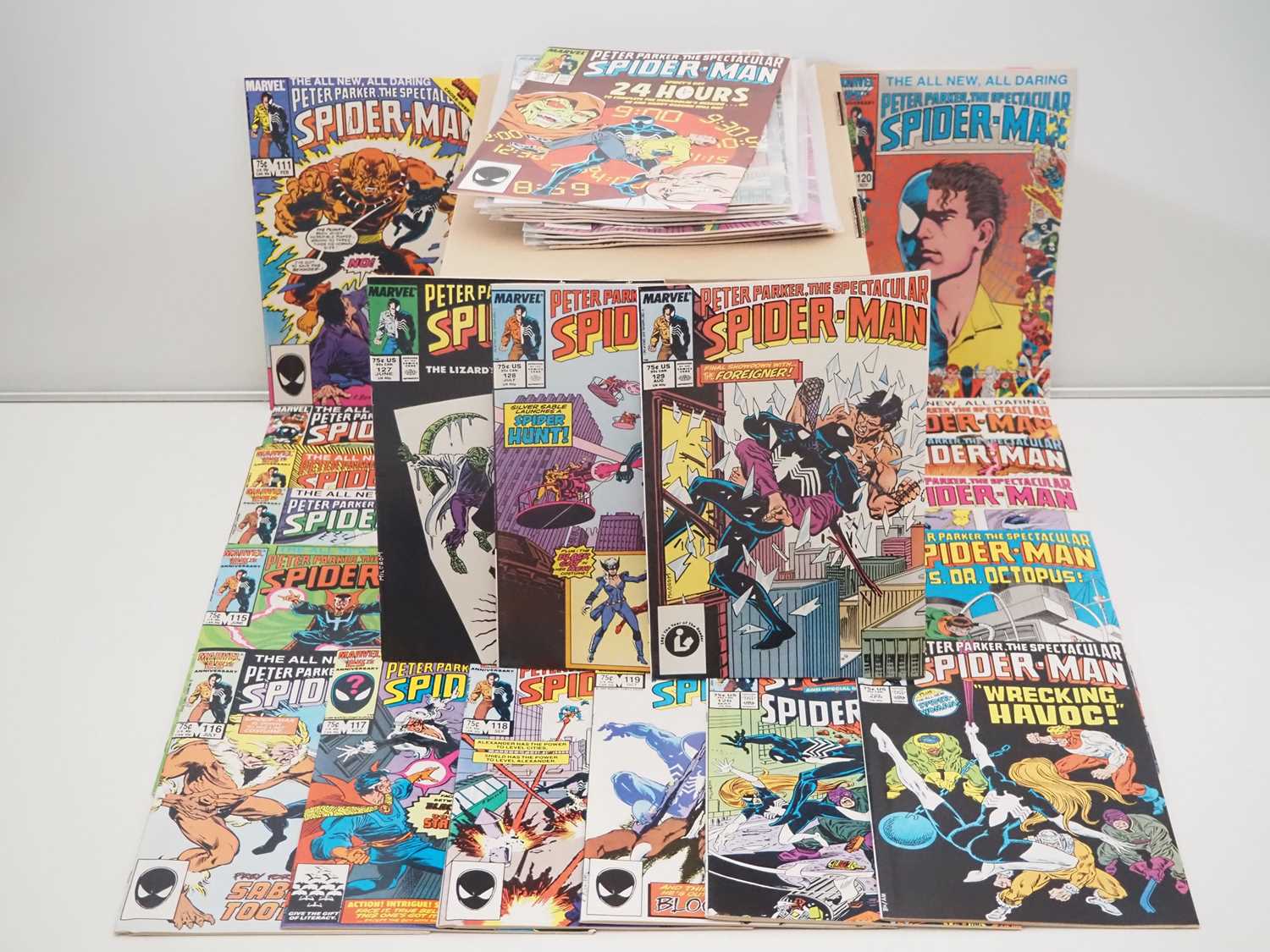 Lot 251 - Peter Parker: The Spectacular Spider-man