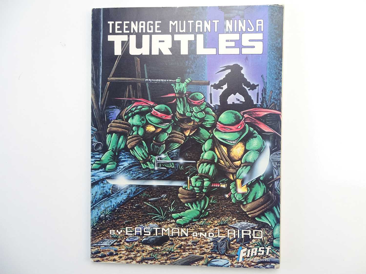 Lot 362 - TEENAGE MUTANT NINJA TURTLES (1986 - FIRST