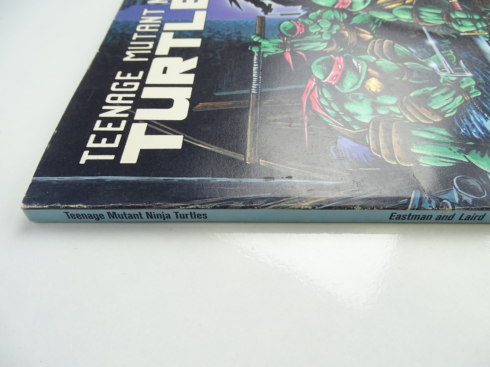 Lot 362 - TEENAGE MUTANT NINJA TURTLES (1986 - FIRST